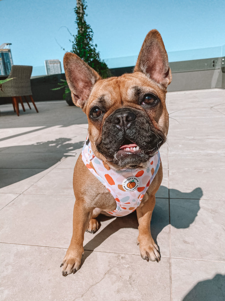 Peachy Pebbles Adjustable Harness – Peachy's Dream